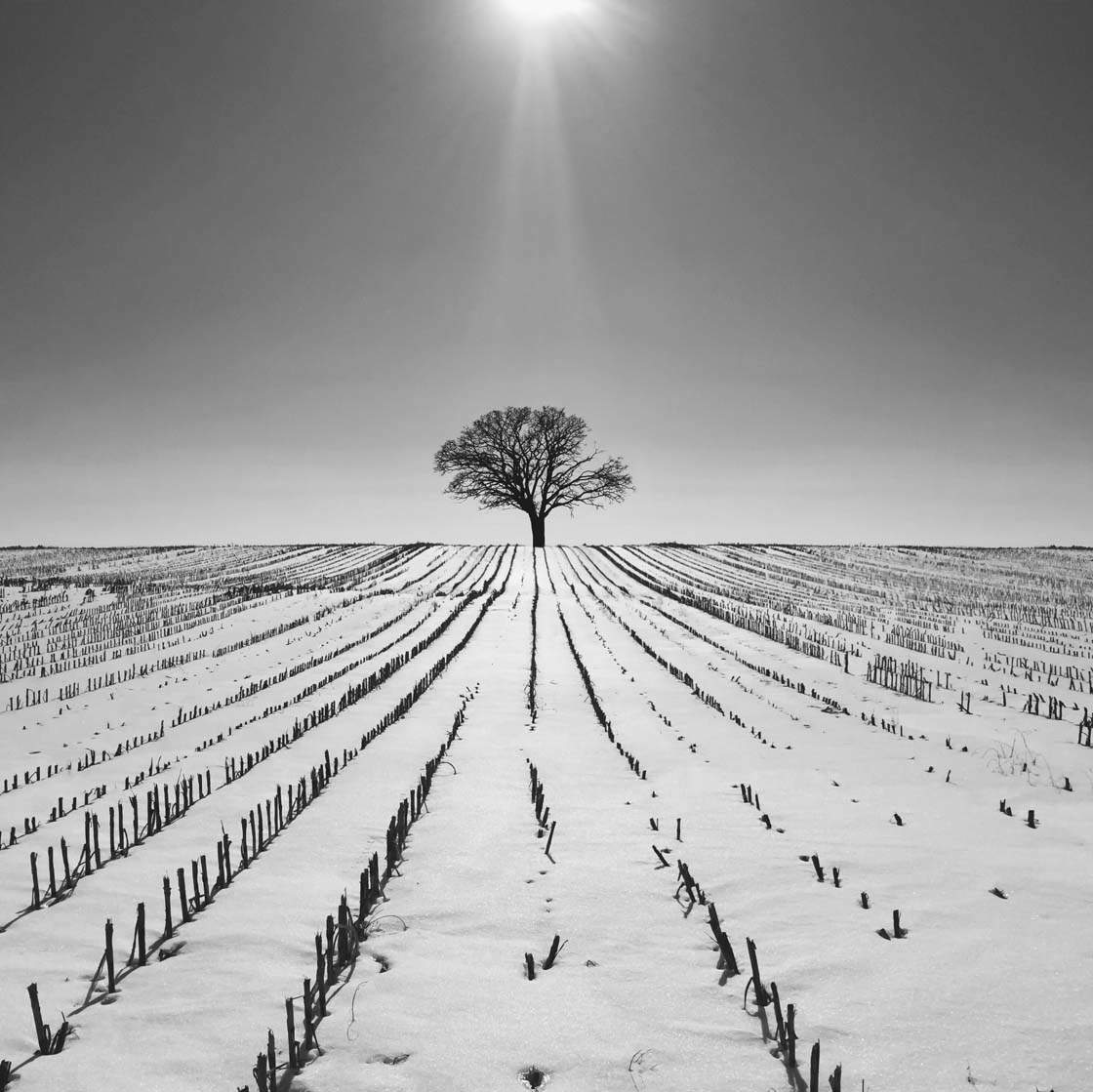 How Eric Mueller Takes Incredible Photos With His iPhone