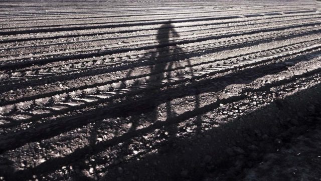 30 Great iPhone Photos That Capture Motion & Movement