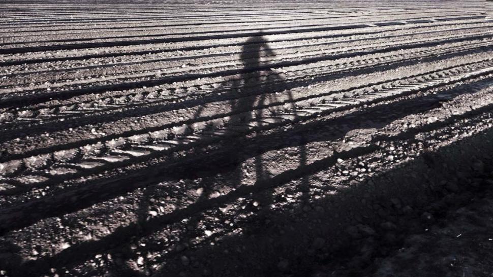 30 Great iPhone Photos That Capture Motion & Movement