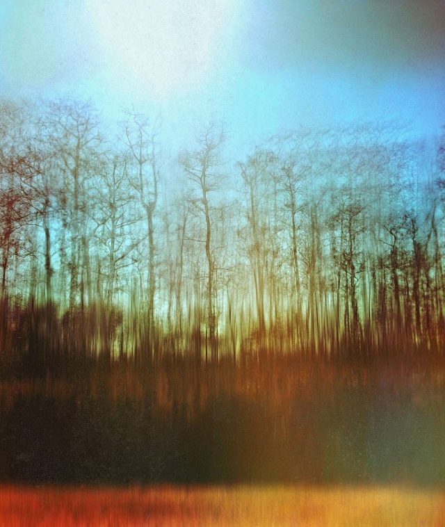 30 Great iPhone Photos That Capture Motion & Movement