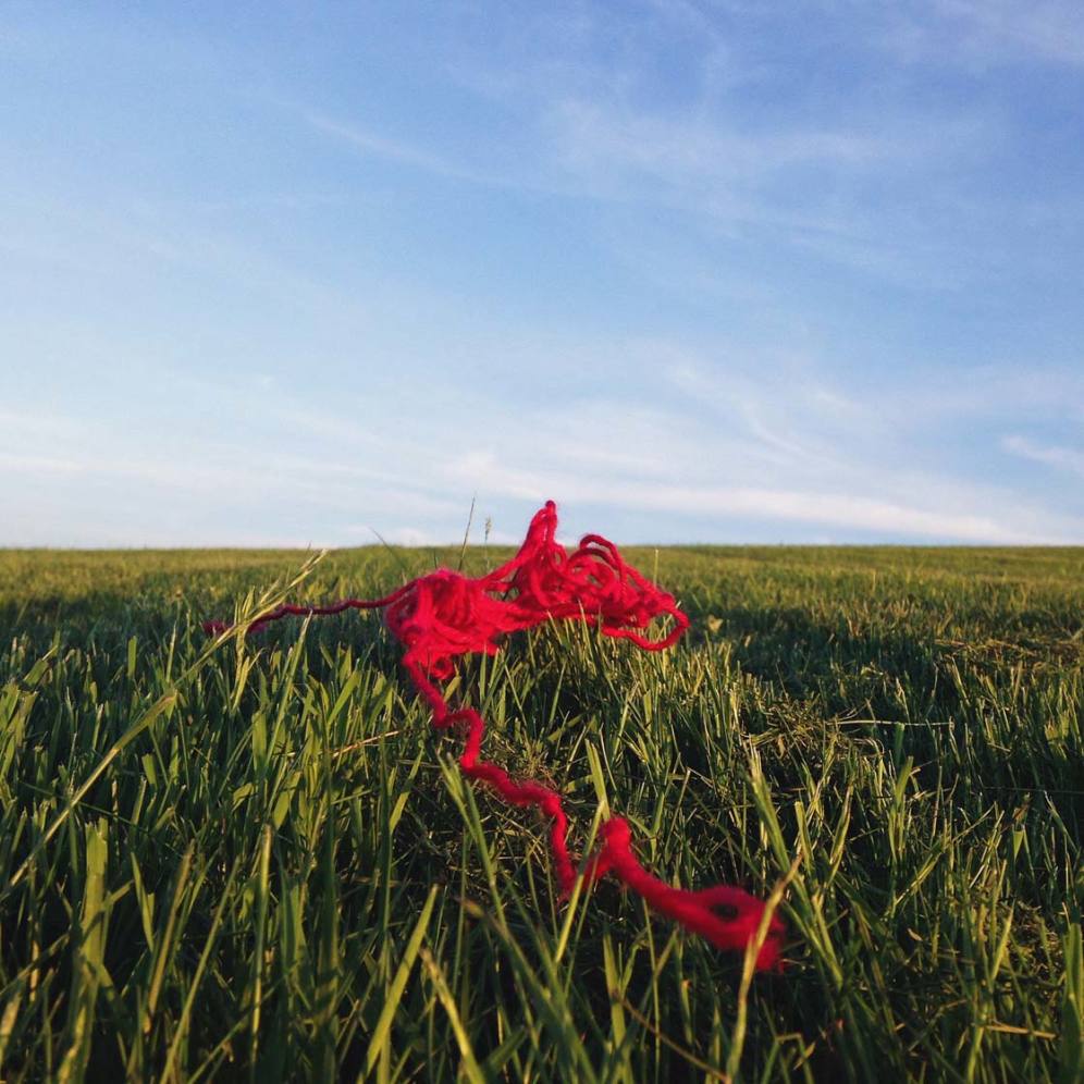 Spice Up Your iPhone Photography With Creative Props