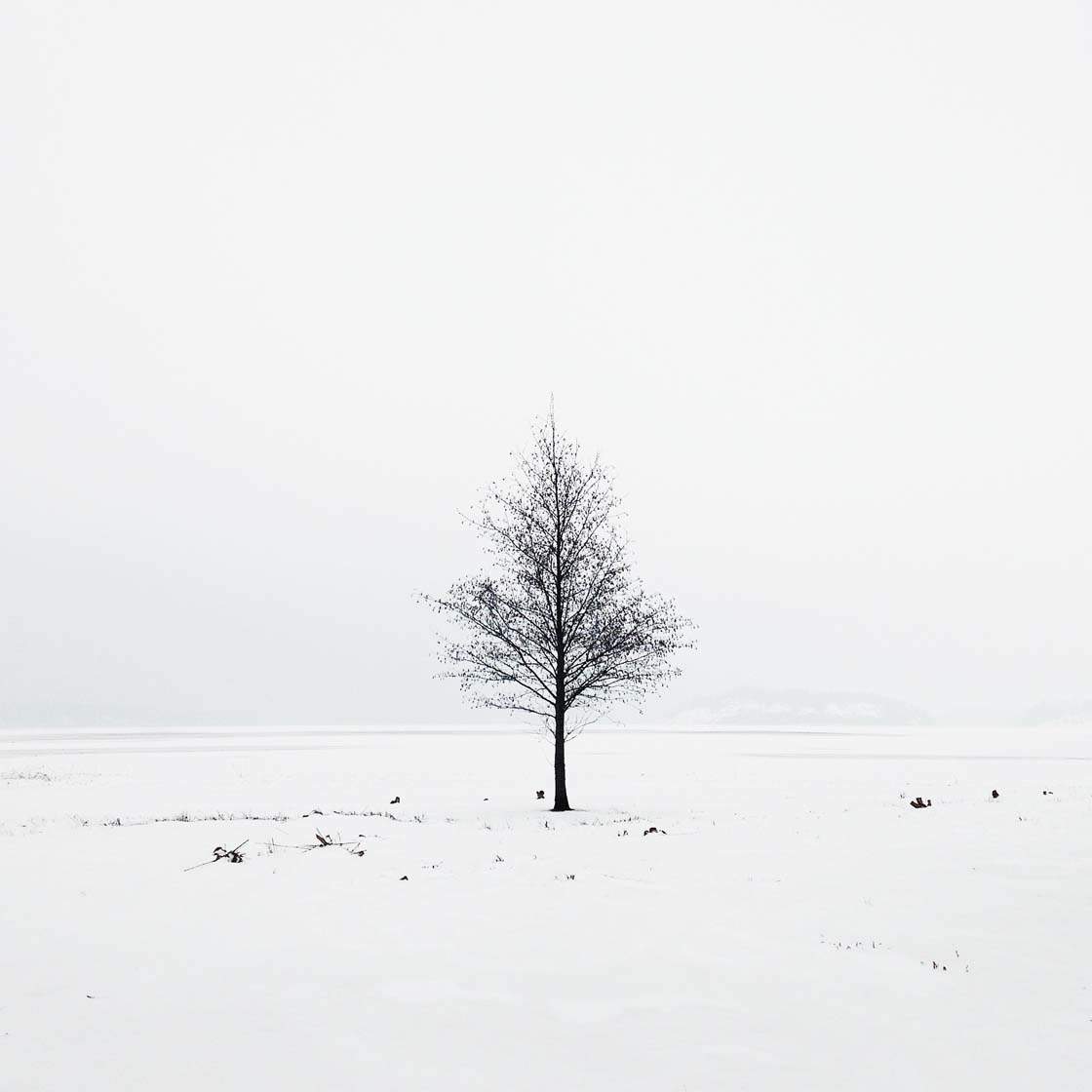 10 Tips For Taking Stunning Minimalist iPhone Photos