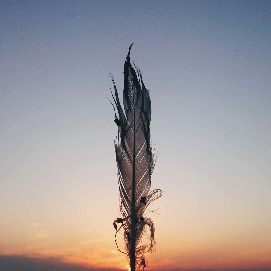 10 Tips For Taking Stunning Minimalist iPhone Photos