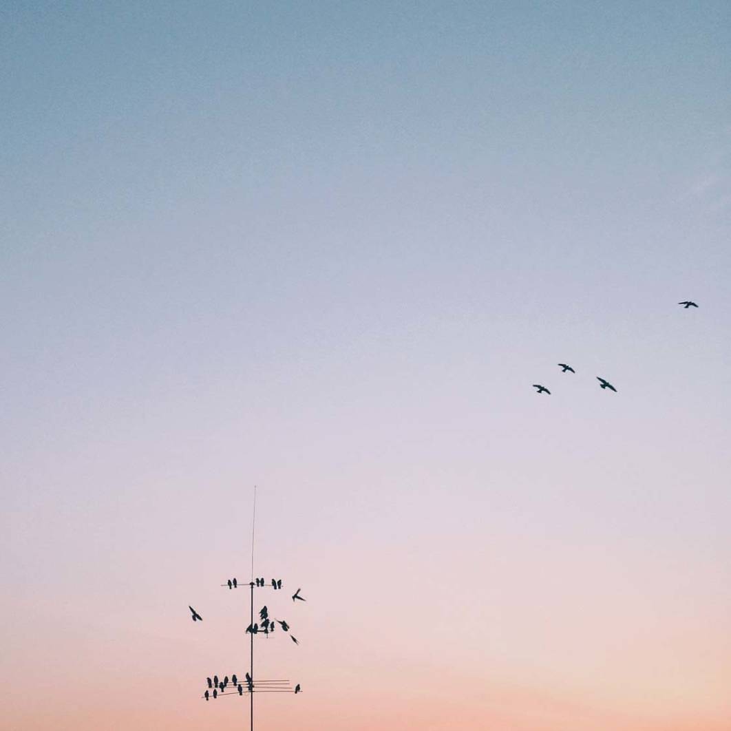 10 Tips For Taking Stunning Minimalist iPhone Photos