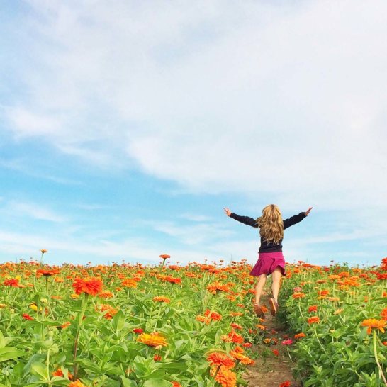 9 Ways To Create A Sense Of Fun In Your iPhone Photography