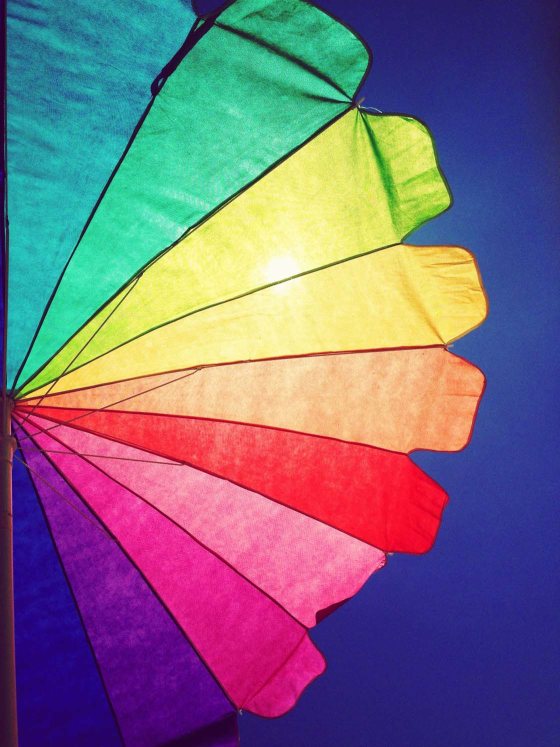 30 Stunning iPhone Photos That Show Vibrant Colors