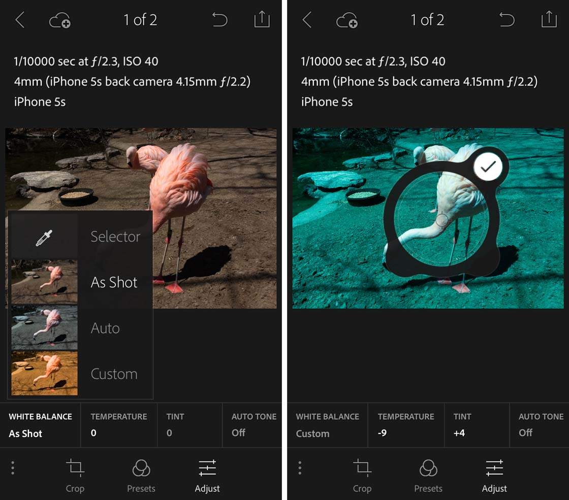 Lightroom Bridges Gap Between iPhone & Desktop Photo Editing