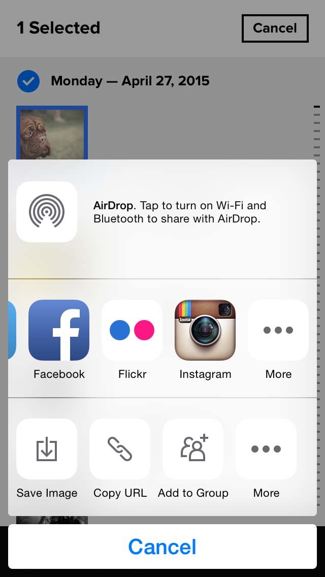 Flickr Update Offers Better iPhone Photo Sharing & Backup