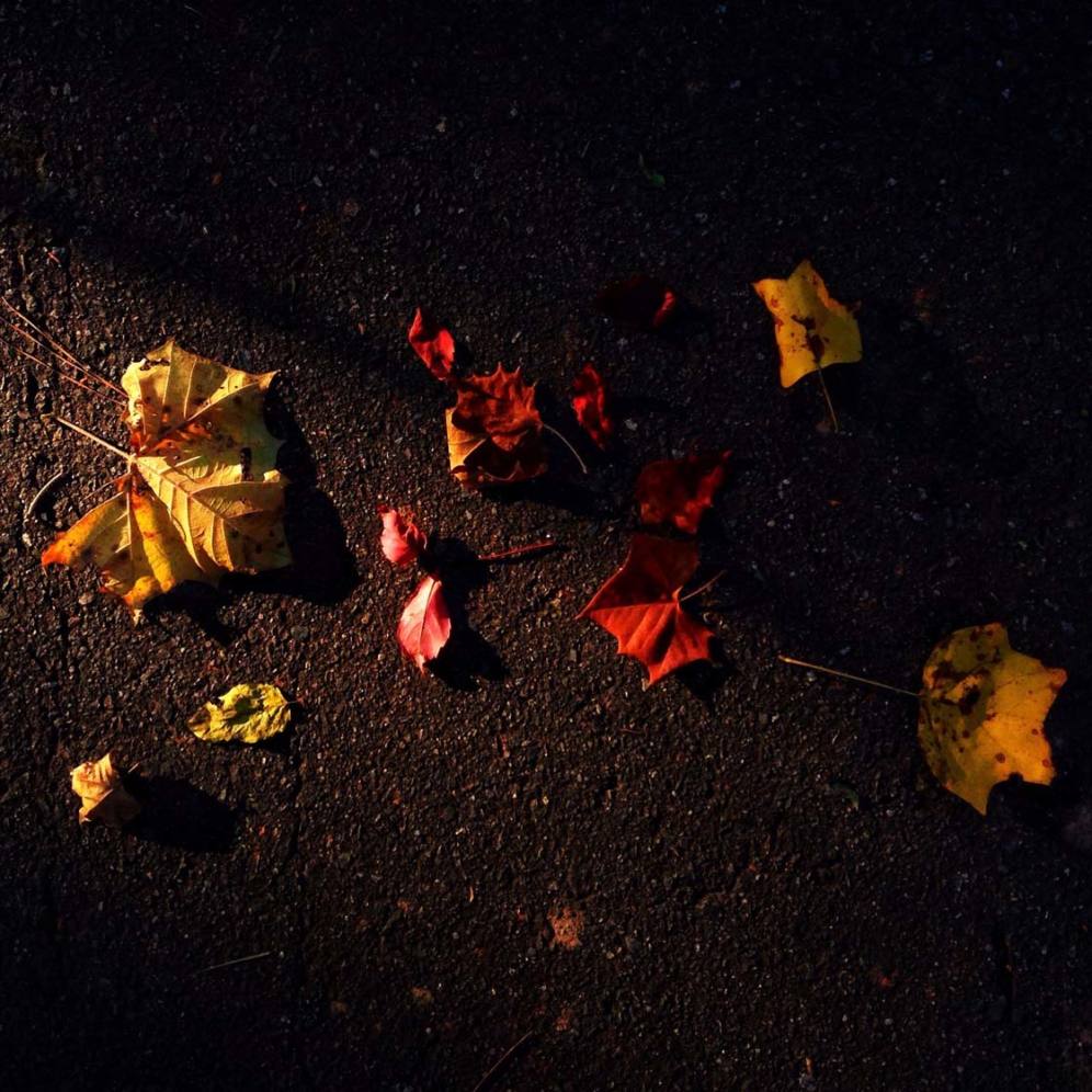 How To Create Intriguing Shadow Photos With Your iPhone