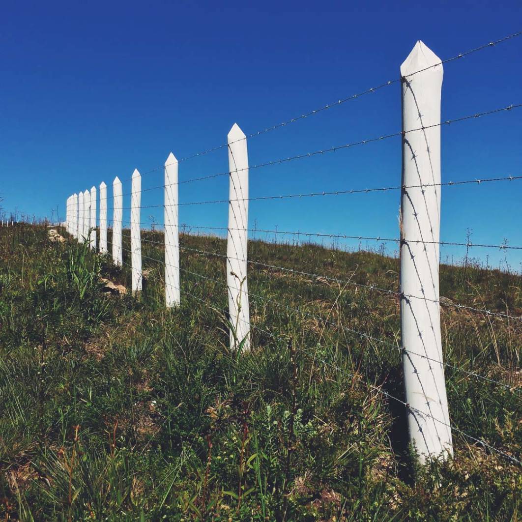 5 Ways To Create A Sense Of Depth In Your iPhone Photos