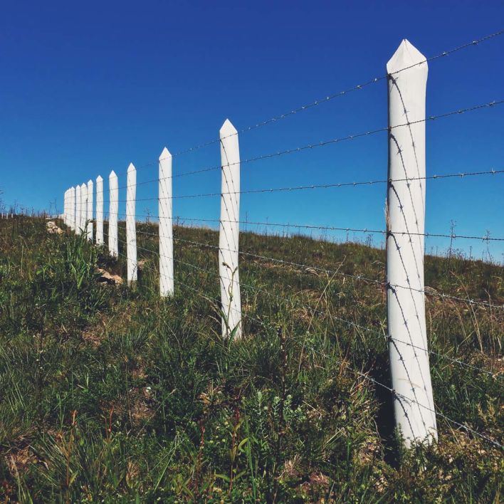 5 Ways To Create A Sense Of Depth In Your iPhone Photos