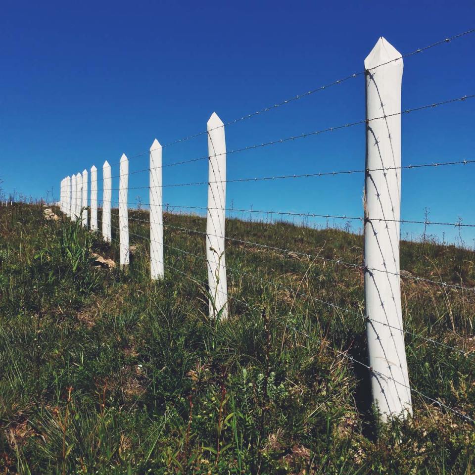 5 Ways To Create A Sense Of Depth In Your iPhone Photos