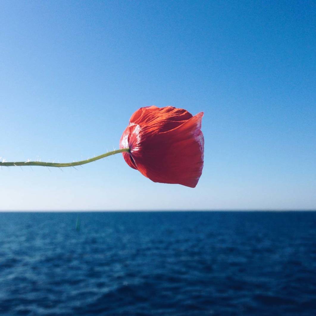 8 Ways To Create A Stronger Focal Point In Your iPhone Photos