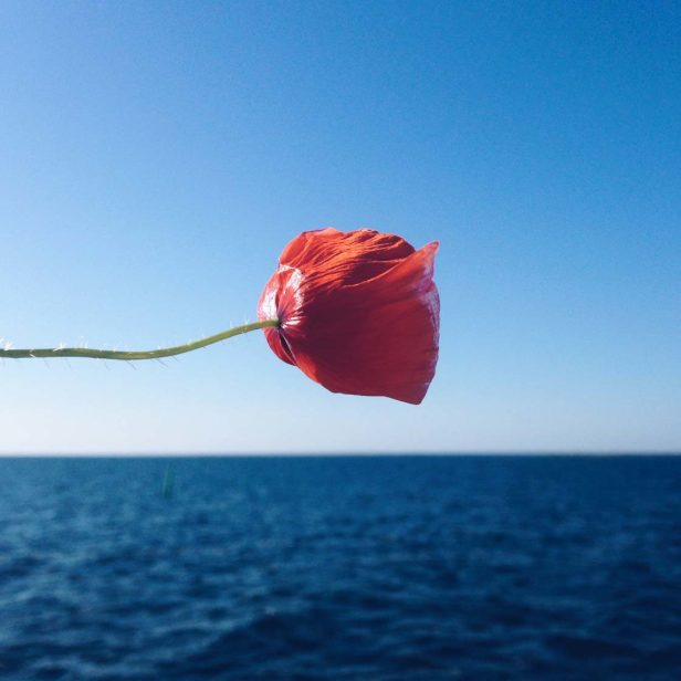 8 Ways To Create A Stronger Focal Point In Your iPhone Photos