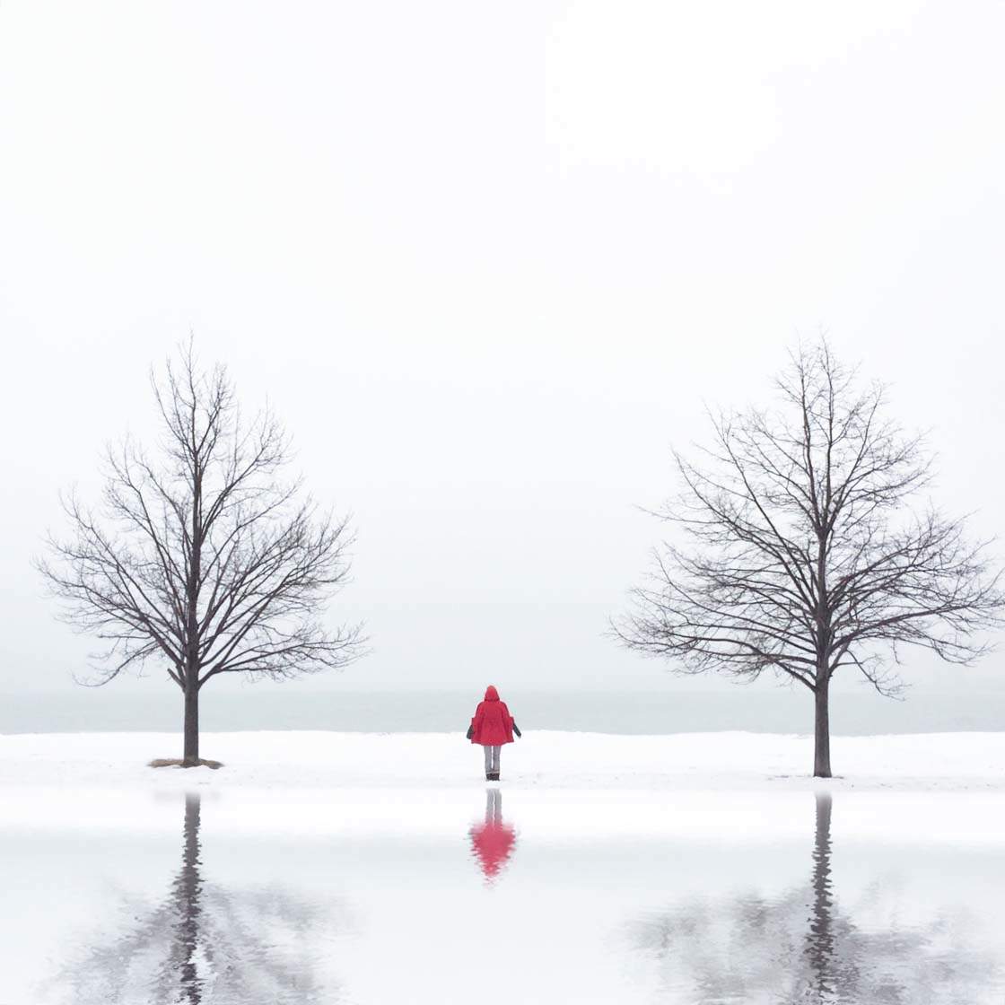 Use Reflect App To Create Unique Reflection iPhone Photos