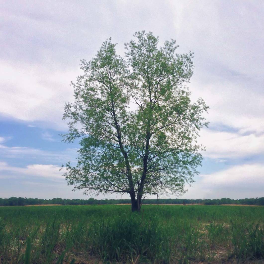 How To Find & Create Amazing Symmetry In Your iPhone Photography