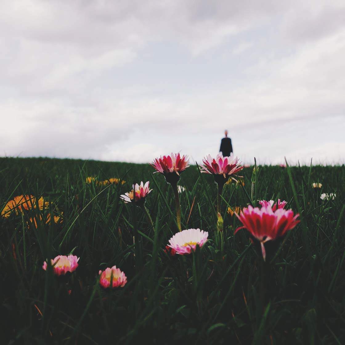 10 Tips For Taking Stunning Landscape Photos On iPhone