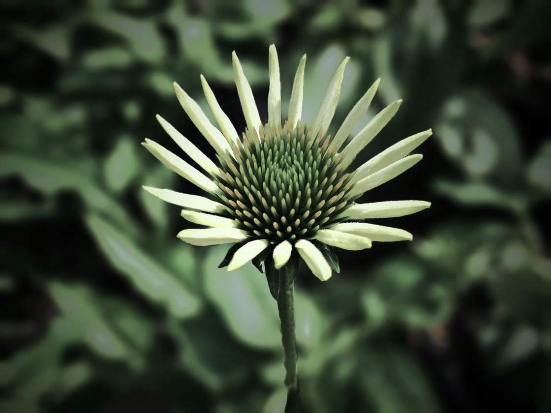 Ultralight App Offers Fast & Intuitive iPhone Photo Editing