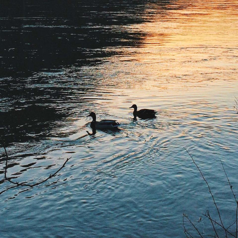 9 Tips For Capturing Spectacular Reflections In Your iPhone Photos