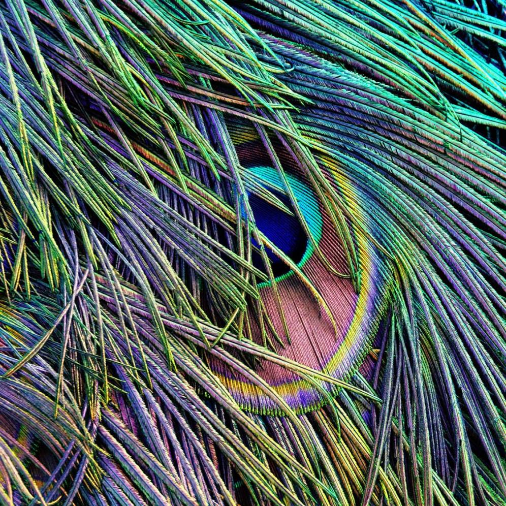 6 Ways To Bring Your iPhone Photos To Life With Texture