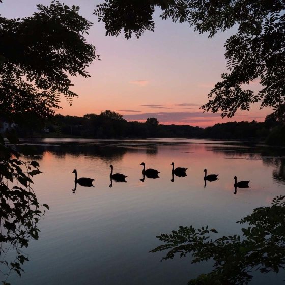 30 Incredible Reflection Photos Taken With An iPhone