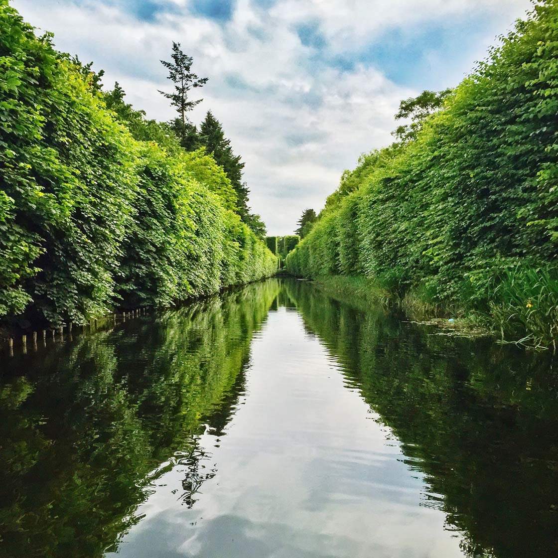 30 Incredible Reflection Photos Taken With An iPhone