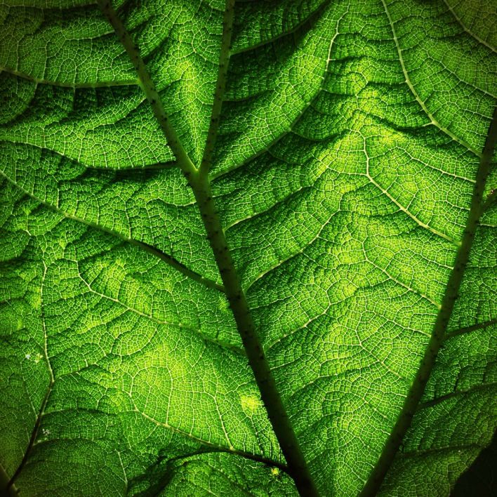 6 Ways To Bring Your iPhone Photos To Life With Texture