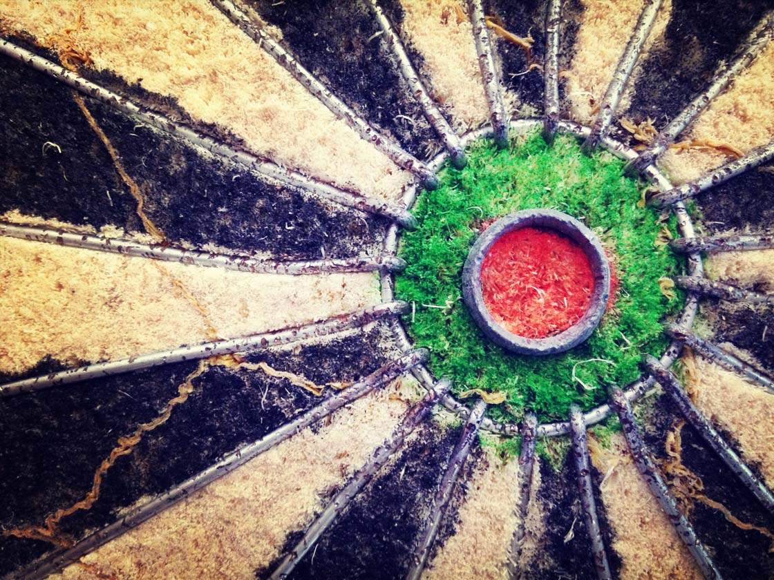 7 Essential Design Elements For Striking iPhone Photos