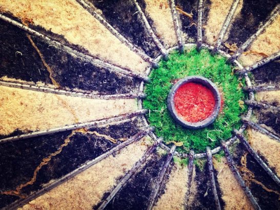 7 Essential Design Elements For Striking iPhone Photos