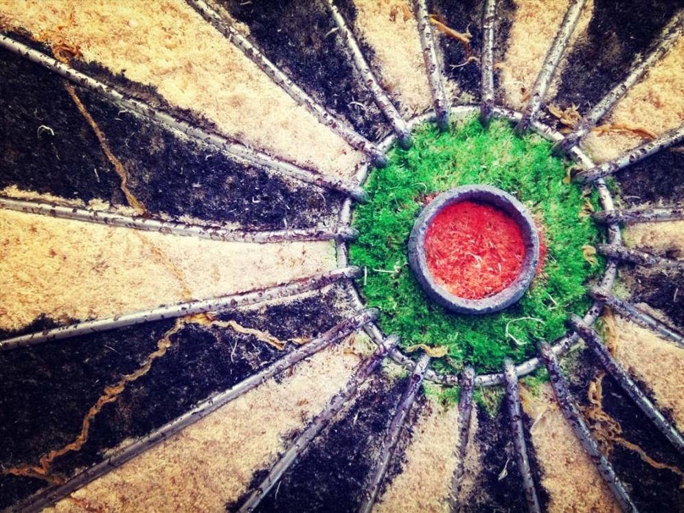 7 Essential Design Elements For Striking iPhone Photos