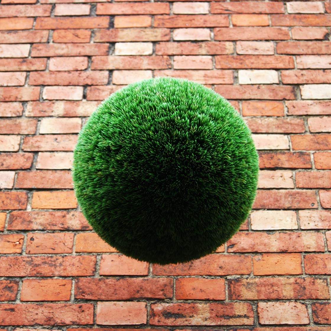 7 Essential Design Elements For Striking iPhone Photos