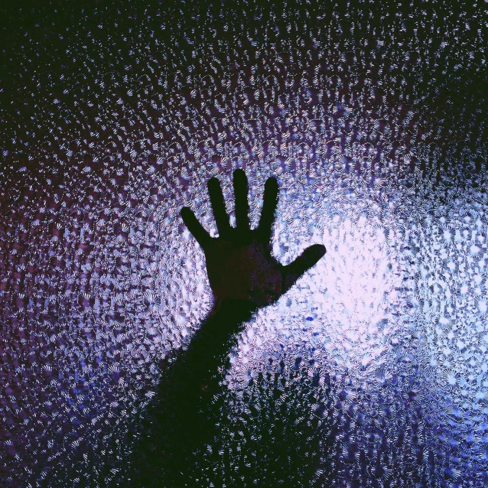 30 Incredible iPhone Photos Of Texture You Can Almost Feel