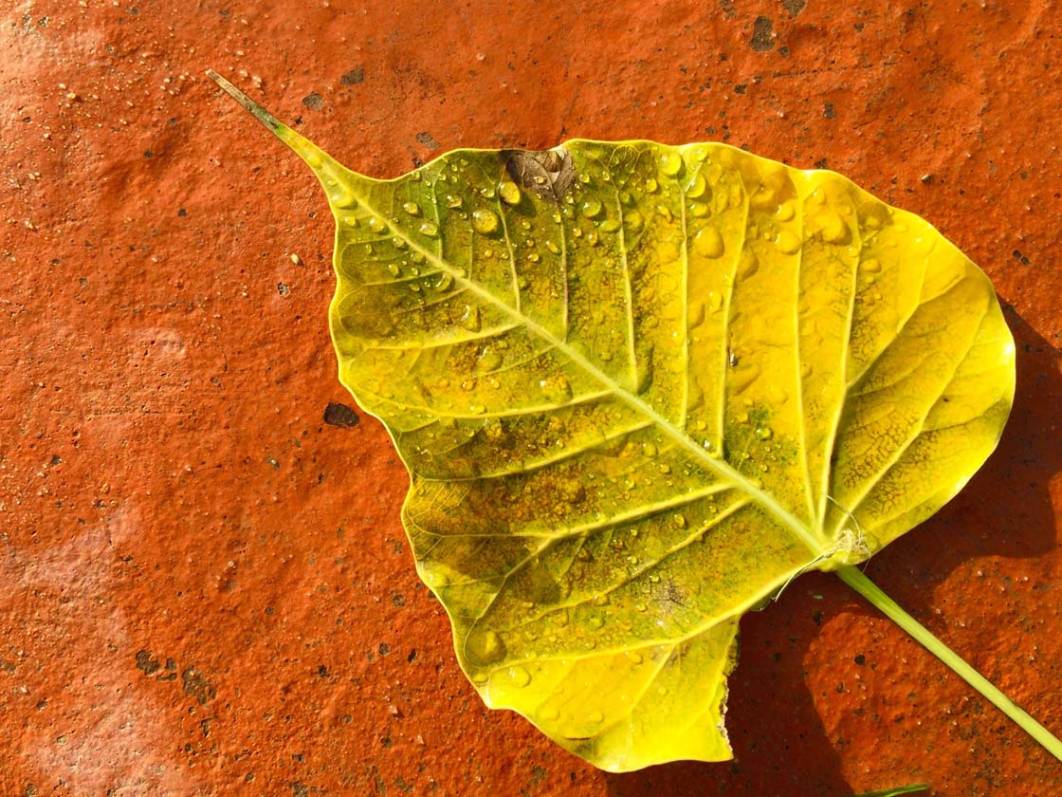 30 Incredible iPhone Photos Of Texture You Can Almost Feel