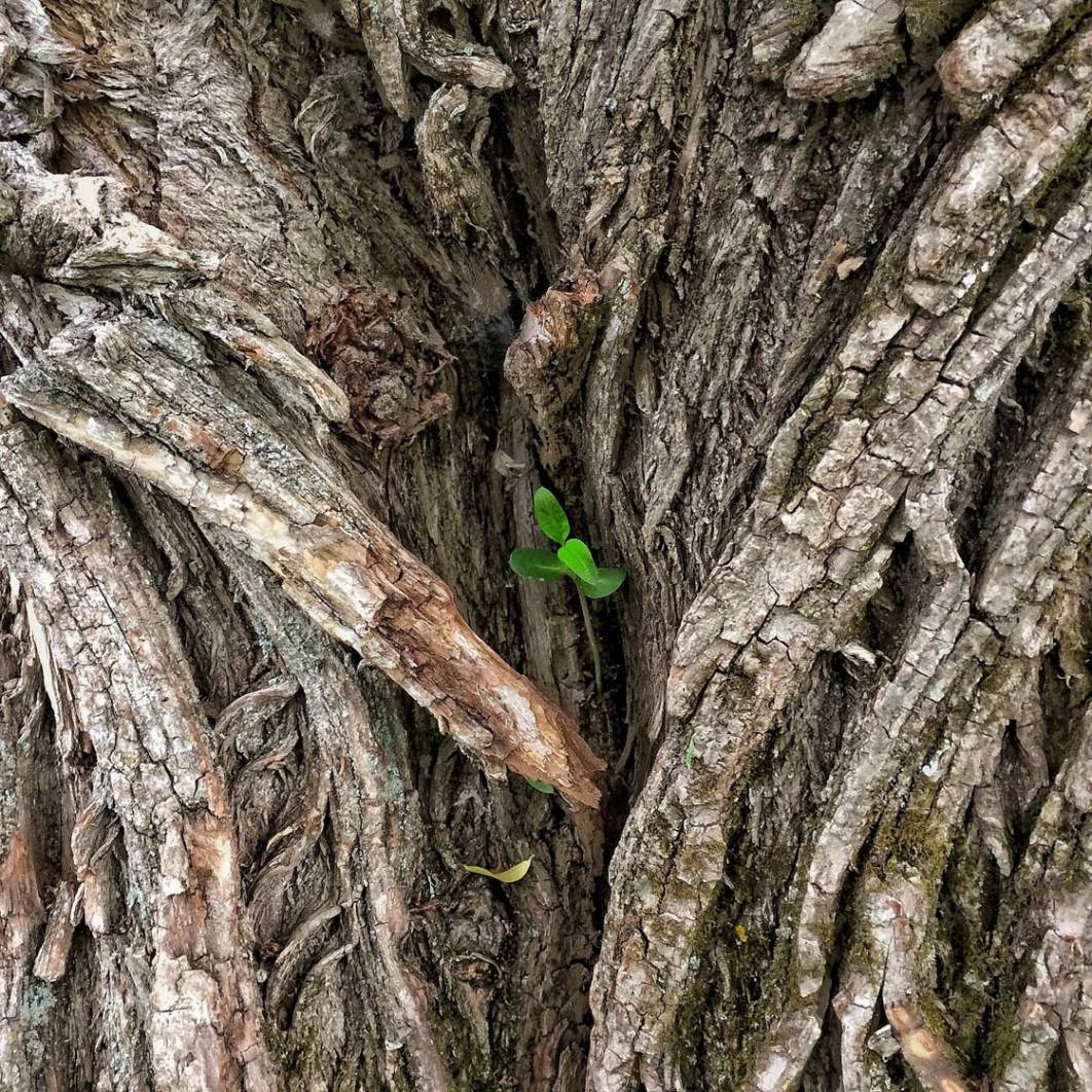 30 Incredible iPhone Photos Of Texture You Can Almost Feel