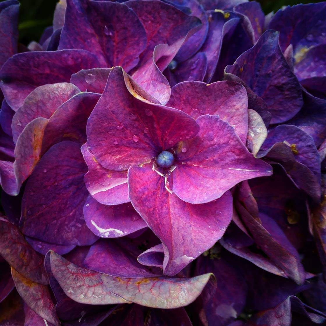 30 Incredible iPhone Photos Of Texture You Can Almost Feel