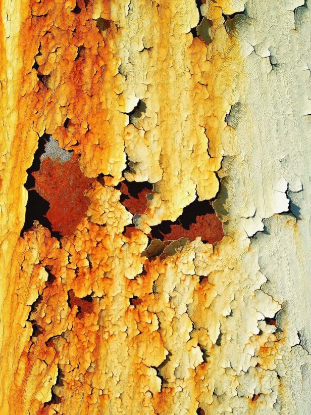 30 Incredible iPhone Photos Of Texture You Can Almost Feel