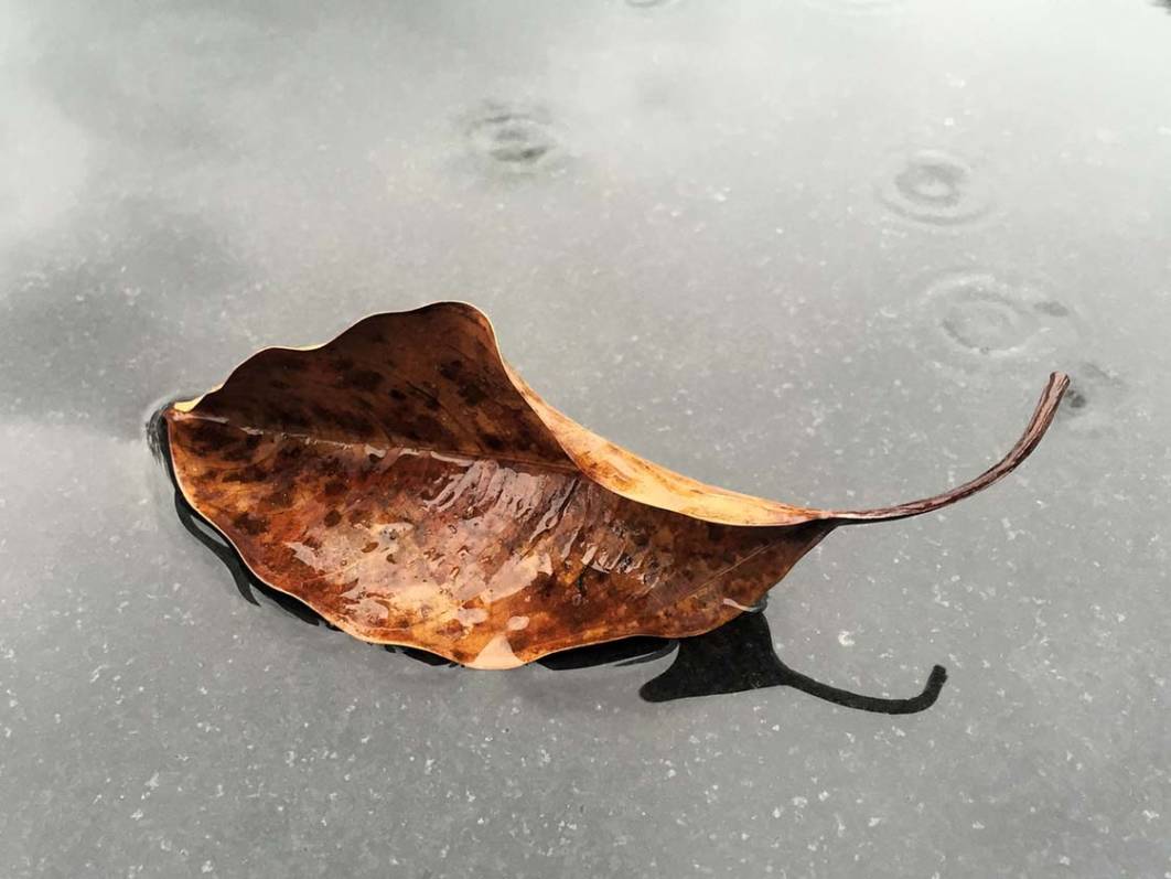 30 Incredible iPhone Photos Of Texture You Can Almost Feel