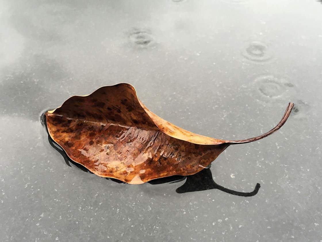 30 Incredible iPhone Photos Of Texture You Can Almost Feel