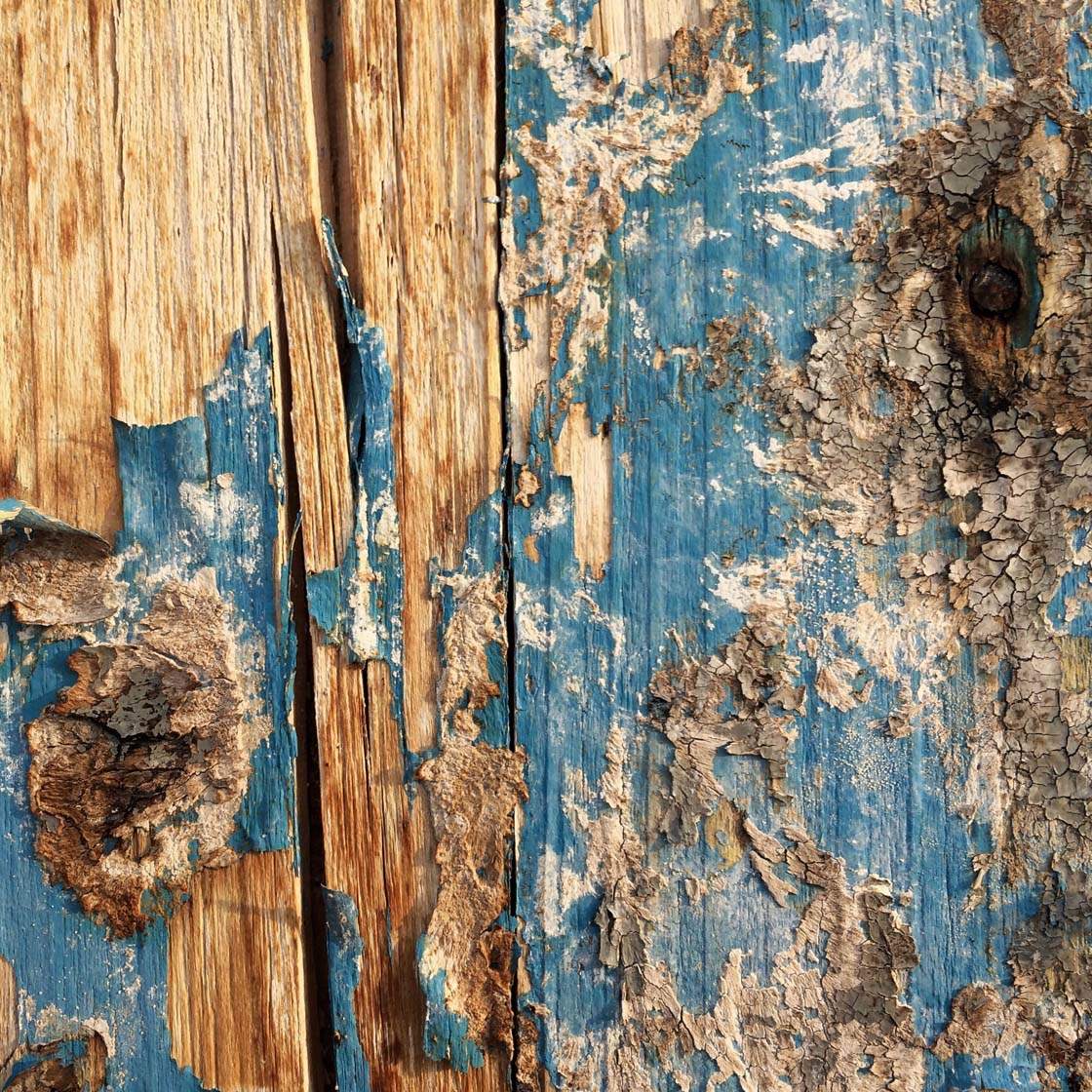 30 Incredible iPhone Photos Of Texture You Can Almost Feel