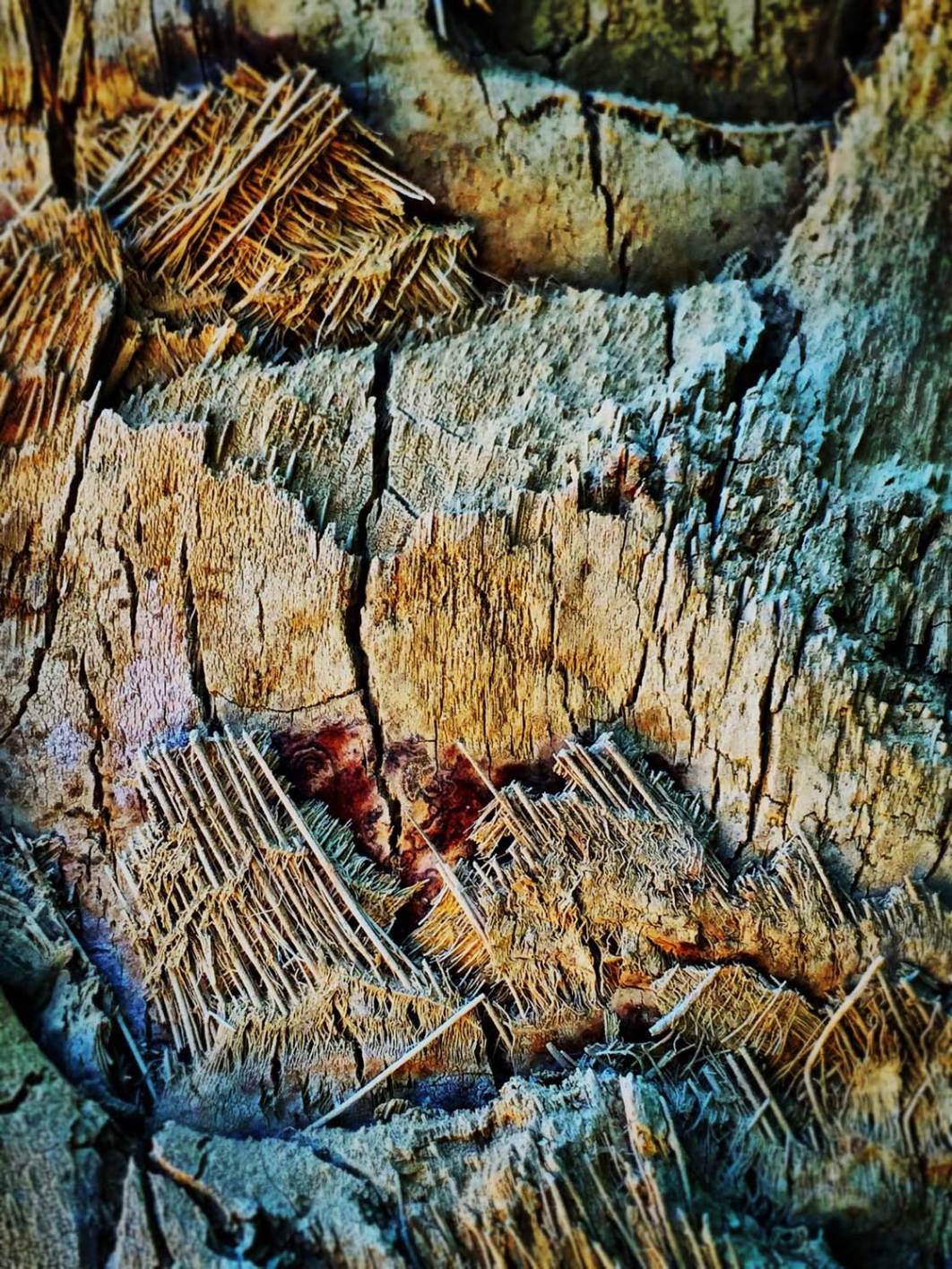 30 Incredible iPhone Photos Of Texture You Can Almost Feel