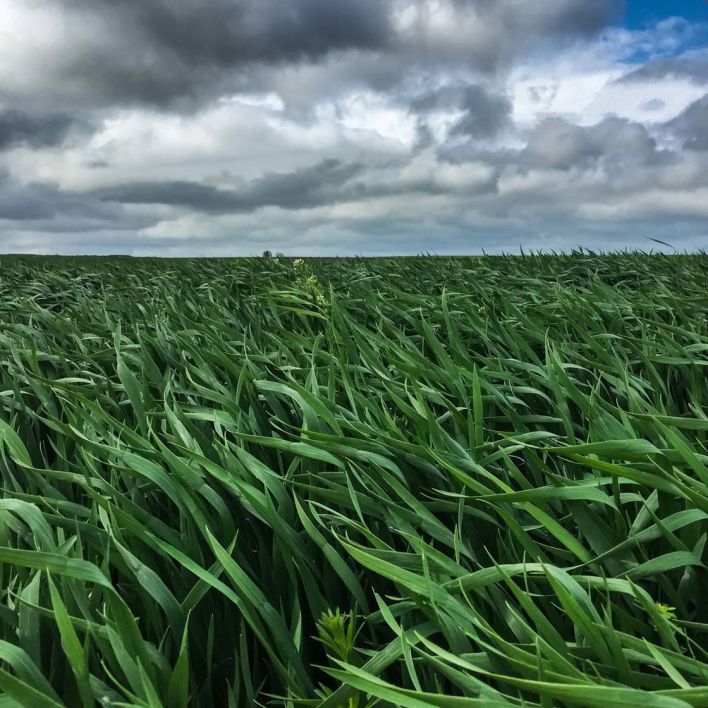 30 Breathtaking Landscape Photos Shot With An iPhone