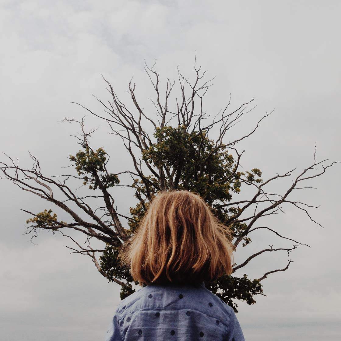 9 Tips For Creating A Sense Of Drama In Your iPhone Photos