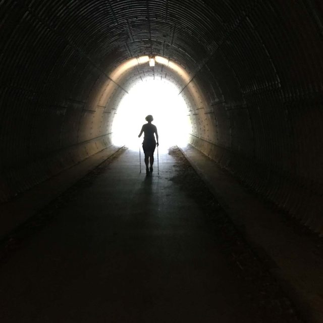 30 iPhone Photos That Capture A Wonderful Sense Of Fun