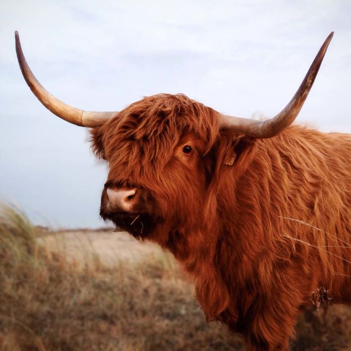 How Herbert Schröer Captures Breathtaking iPhone Photos