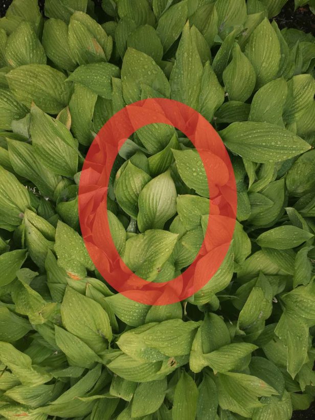 How To Create Beautiful Slow Shutter Abstract Photos On iPhone