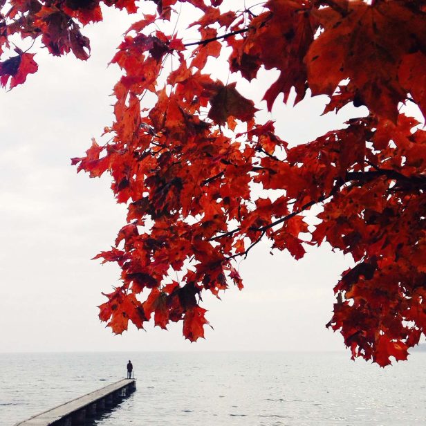8 Tips For Taking Stunning iPhone Photos During Fall