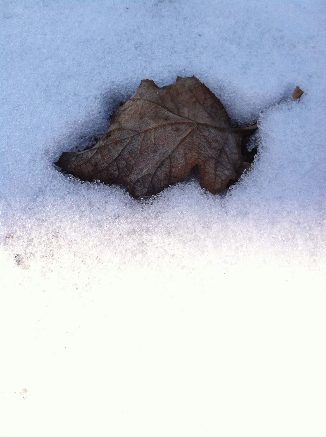 How To Choose An Editing Style For Your iPhone Photos