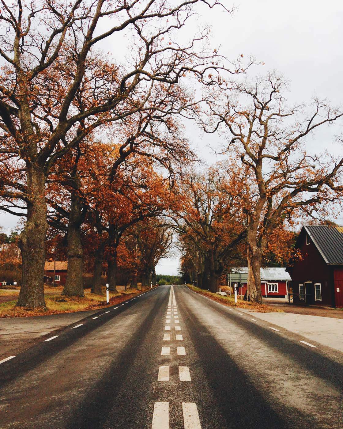 8 Tips For Taking Stunning iPhone Photos During Fall