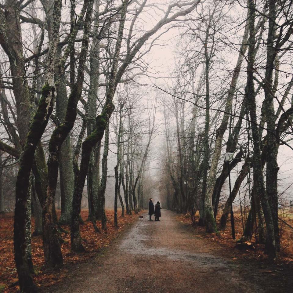 8 Tips For Taking Stunning iPhone Photos During Fall