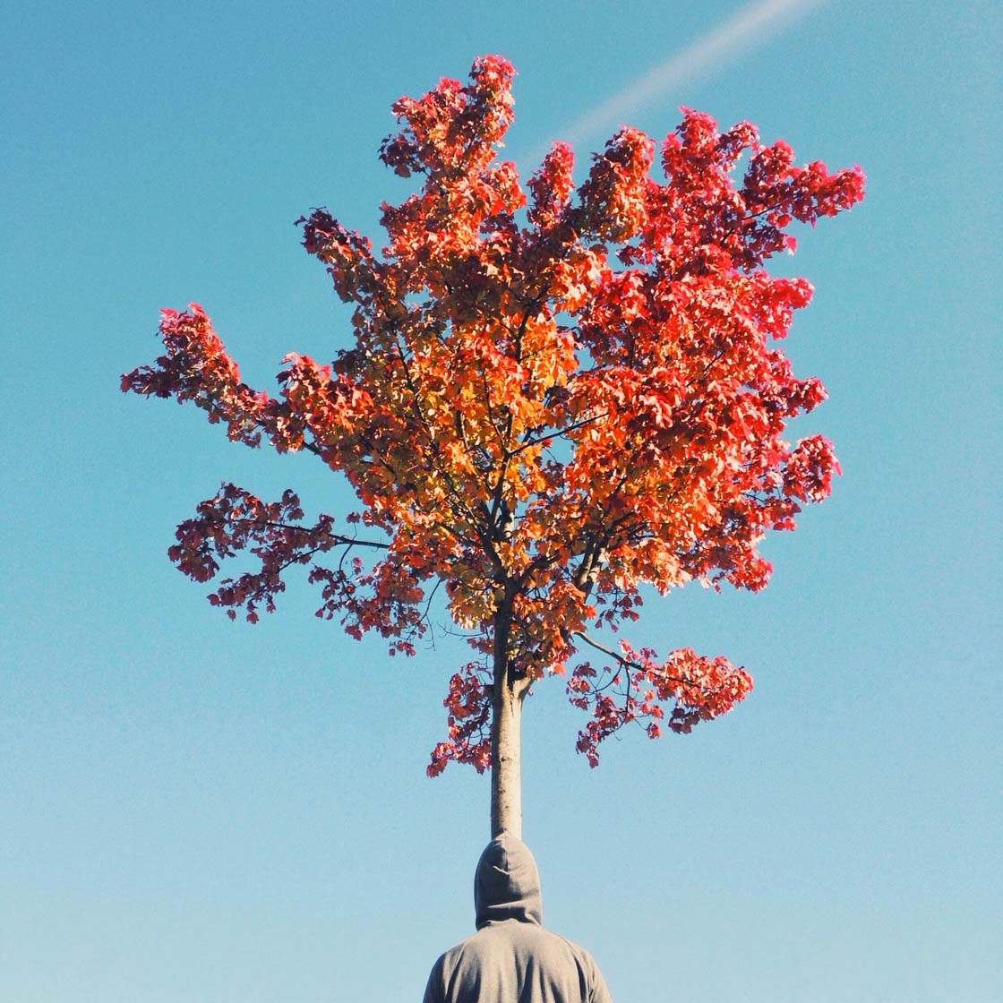 8 Tips For Taking Stunning iPhone Photos During Fall